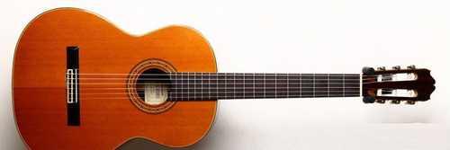 Takamine №30, Japan '79