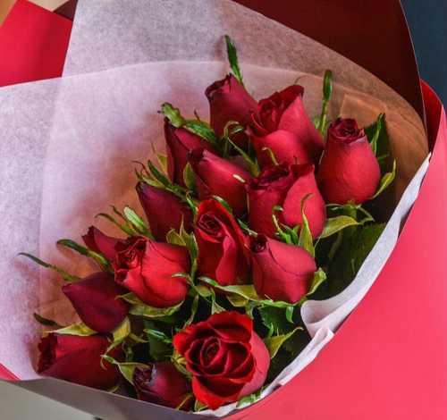 Розы 15 красных роз 40 см в упаковке (Кения). Розы