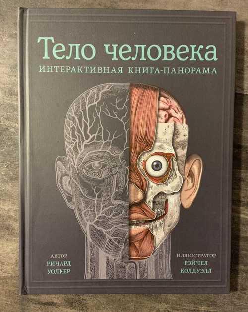 Интерактивная Книга-панорама «Тело человека»