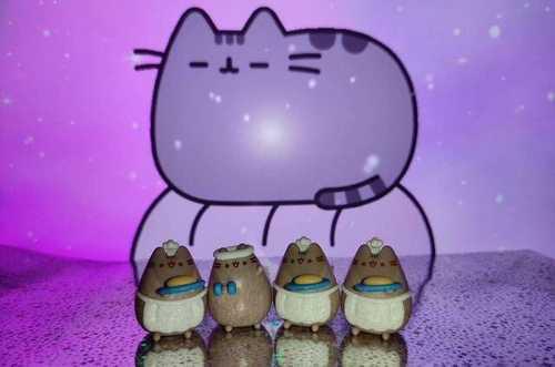 Pusheen cat, Пушины