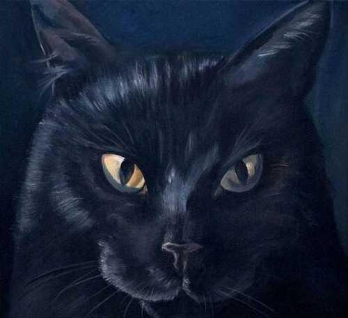 Картина маслом " Чёрный кот"