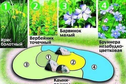 Клумба N 2. Цветник для тенистых мест