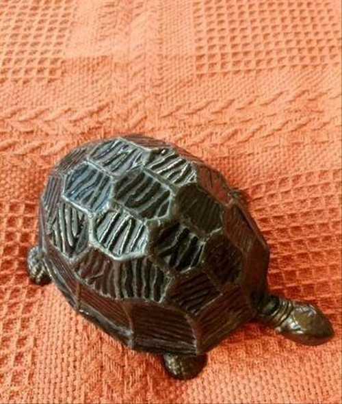  черепаха Тиффани | Festima.Ru - Мониторинг объявлений
