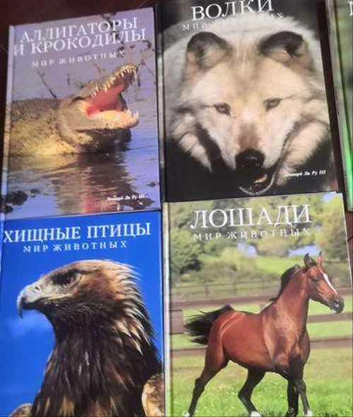 Серия книг Мир животных