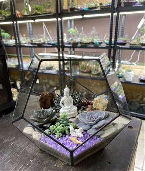 Флорариум с Буддой, Бали