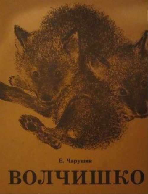 Чарушин Волчишко. Волчишко книга. Е Чарушин Волчишко. Аннотация Волчишко.