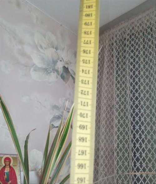 Драцена