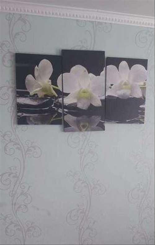 Модульная картина орхидея
