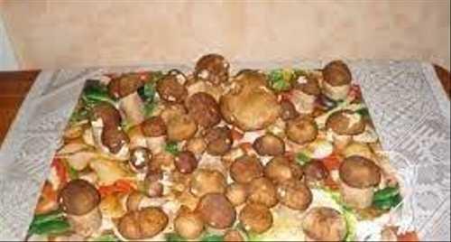 Сушилка-коврик для овощей и грибов