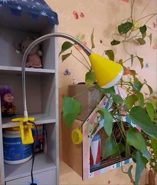 Лампа для растений и кашпо
