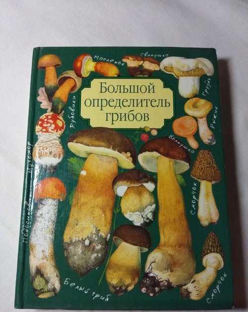 Большой определитель грибов. Определитель грибов средней полосы. Определитель грибов книга. Цветной определитель грибов.