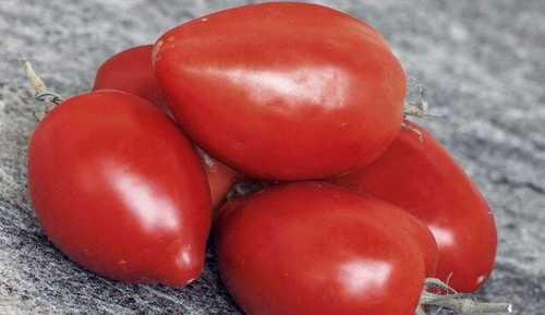 Семена томата Гном томатный Подлый Соус