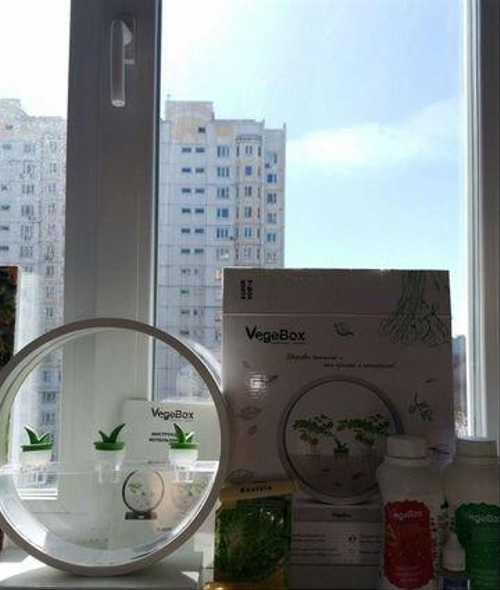 Grow box с аквариумом для выращивания зелени