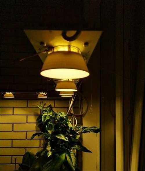 , лампы для растений, фитосветильники | Festima.Ru .