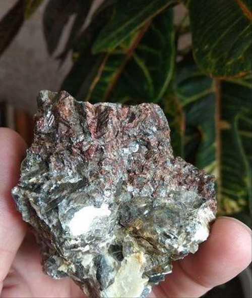 Коллекционные минералы альмандины в пегматите26.7
