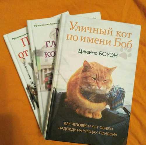 Джеймс Боуэн. Уличный кот по имени Боб. Мир глазам