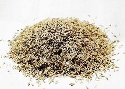 Семена многолетних трав и Травосмеси