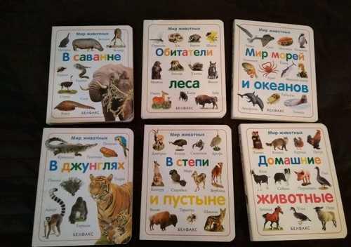 Мир животных