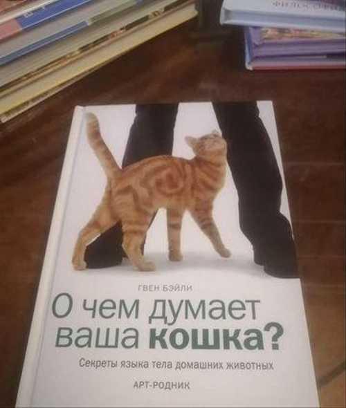 О чем думает ваша кошка