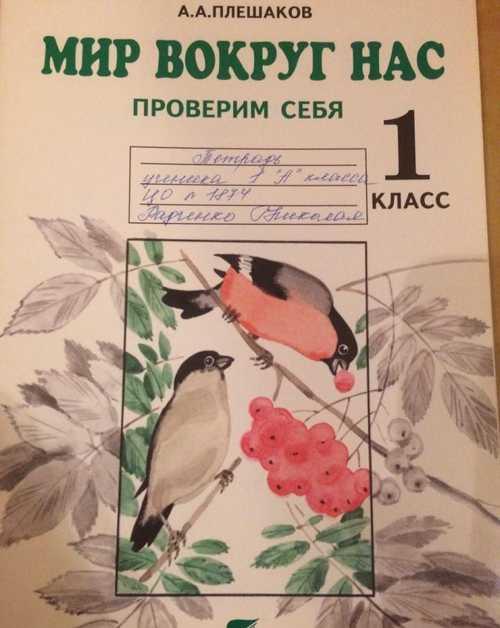 Плешаков Мир вокруг нас. Проверим себя 1 класс