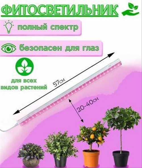 Фито светильник для растений, фитолампа | Festima.Ru - Мониторинг .