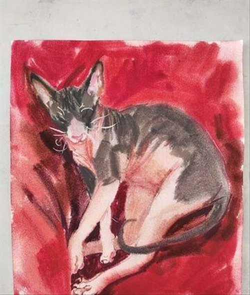 Картина акварелью "кот сфинкс" этюд 21.5*26.5