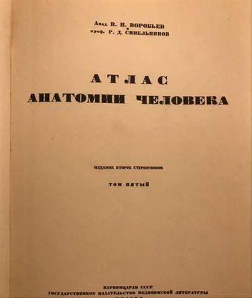 Атлас анатомии человека. Учение о нервной системе