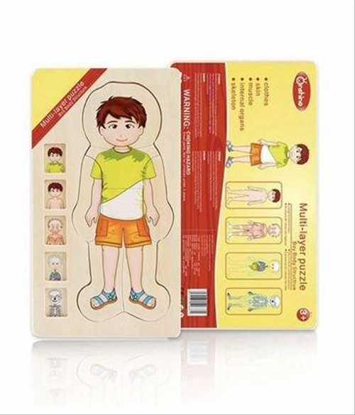 Многоуровневый пазл «Мальчик» (тело человека)