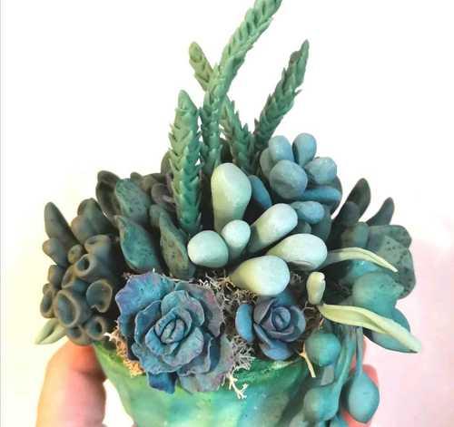 Суккуленты из глины