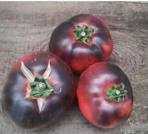 Семена экзотических томатов