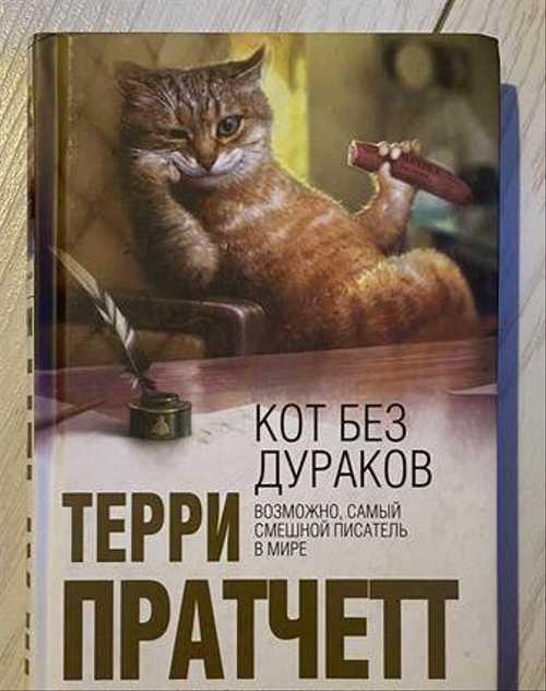 Терри Пратчетт «Кот без дураков»