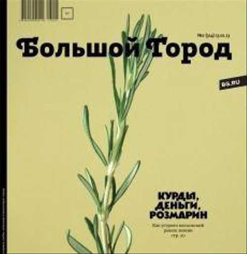 Журнал Большой город. Курды, деньги, розмарин