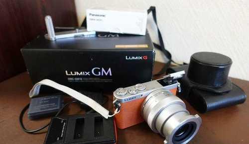 Panasonic DMC-GM1 kit