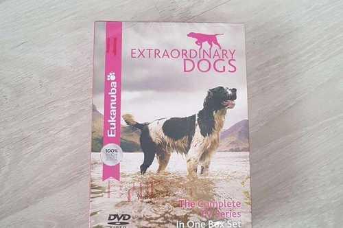 DVD Необычные собаки 3 диска