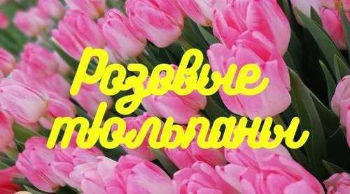Хрустящие букеты розовых тюльпанов к 8 марта