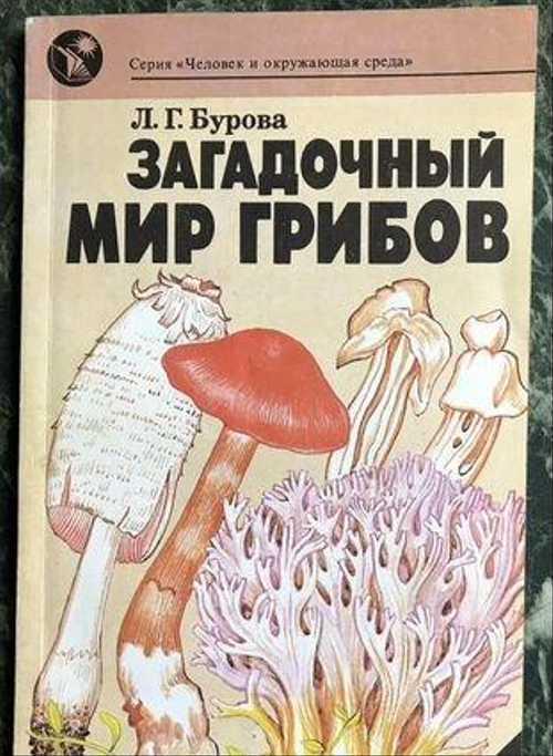 Грибная книга с картинками