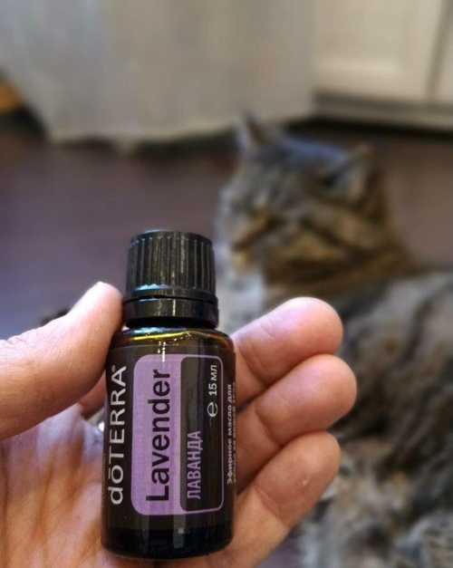 100 натуральное эфирное масло doterra