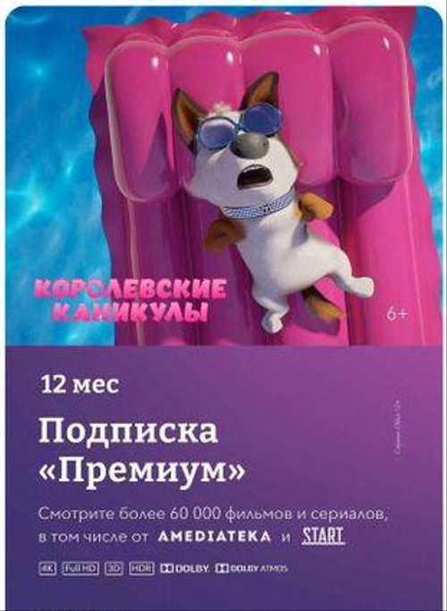 Okko Премиум 12 месяцев