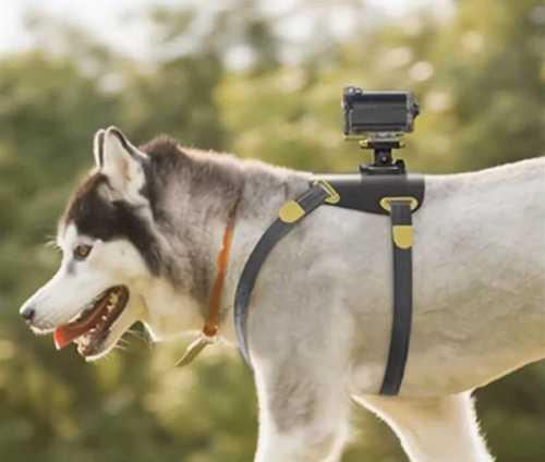 Крепление на собаку Actioncam Sony