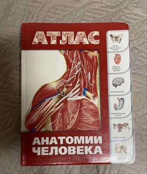 Книга по анатомии