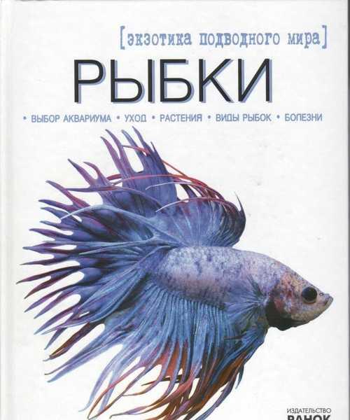 Рыбки - экзотика подводного мира