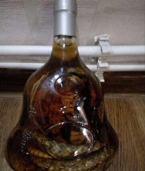Кобра, змея, скорпион в бутылке, сувенир