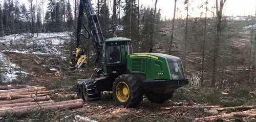 Лес кругляк (пиловочник, тонкомер) оптом