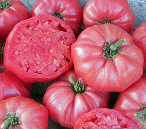 Семена старинного сорта томатов родом из СССР