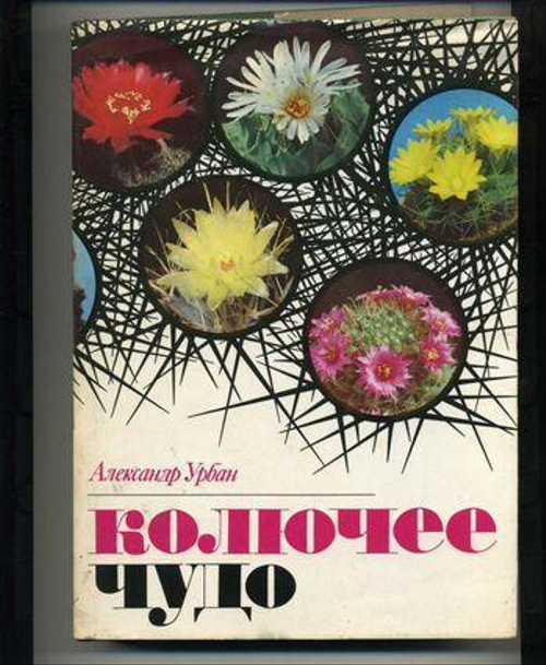 Александр Урбан "Колючее чудо"