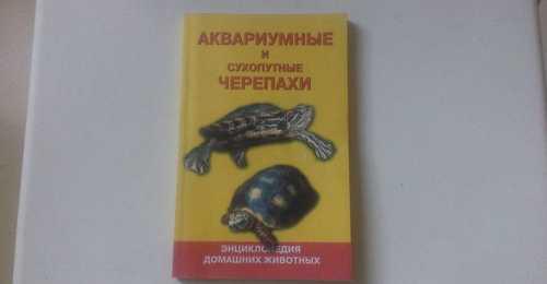 Книга черепах. Золотые Черепашки книга. Банан для черепахи книга. Грустная черепаха книга. Черепаха в книге бумажная.