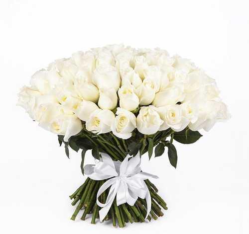 101 белая роза 60 см Близард. Эквадор, премиум