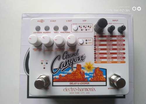 Delay/Looper.Grand canyon. Electro-harmonix