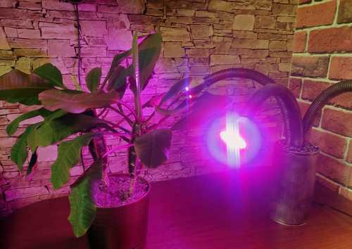Светильник Фито для подсветки растений