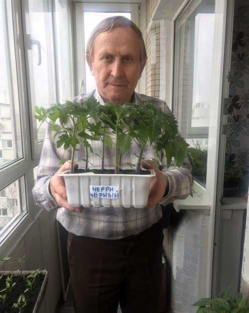 Рассада